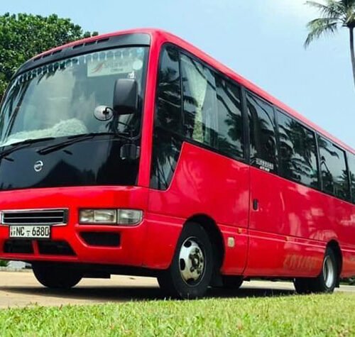 Bus - Fly Catcher Trails